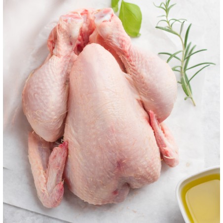 POULET ENTIER SURGELE YESH POIDS VARIABLE BADATZ IHOUD